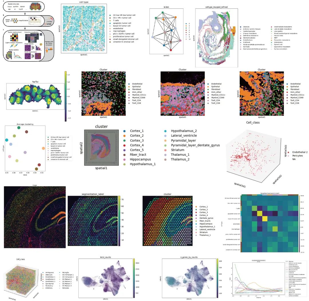 学会这些包，空转分析一网打尽！Stereopy、Squidpy、Seurat、Scanpy-CSDN博客