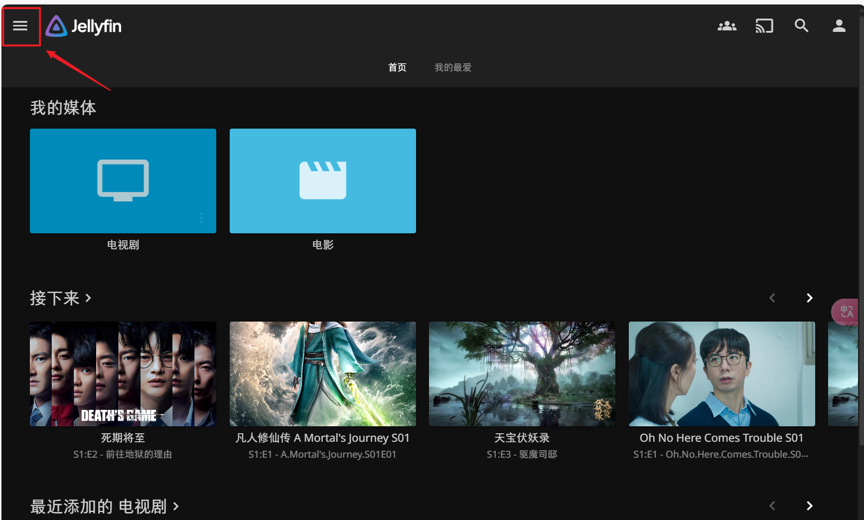 极影视+Jellyfin双剑合璧体验翻番，极空间Jellyfin部署教程-CSDN博客
