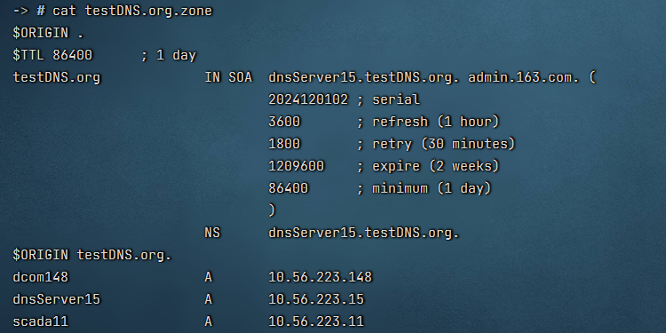 一文看懂本地搭建DNS及配置_本地dns-CSDN博客