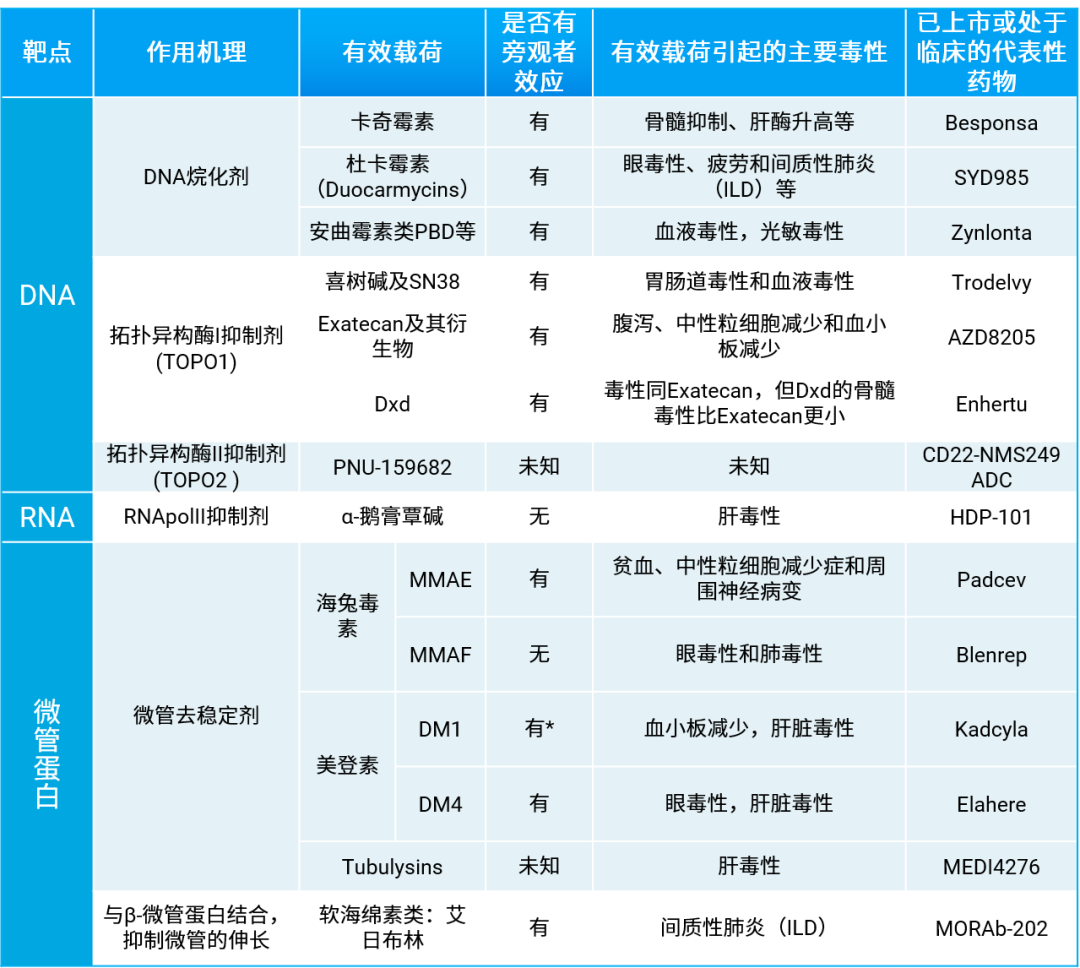 ADC药物之Payload简介_adcpayload-CSDN博客