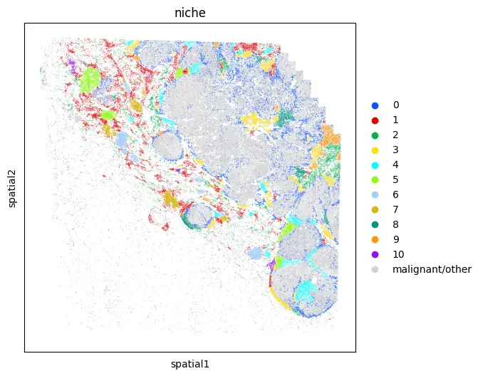 课前准备--CODEX（IMC）基础分析梳理_codex空间蛋白组学-CSDN博客
