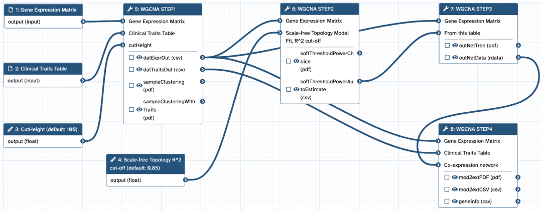 全网最佳WGCNA分析教程 | 更新：增加可视化及任意基因共表达网络Cytoscape作图-CSDN博客