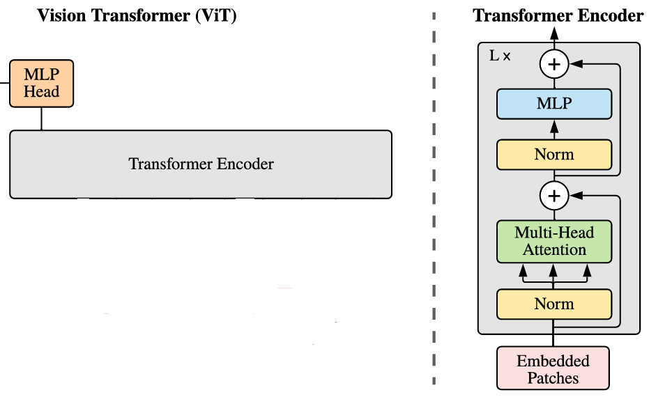 手把手教你实现PyTorch版ViT：图像分类任务中的Transformer实战_vit实战-CSDN博客