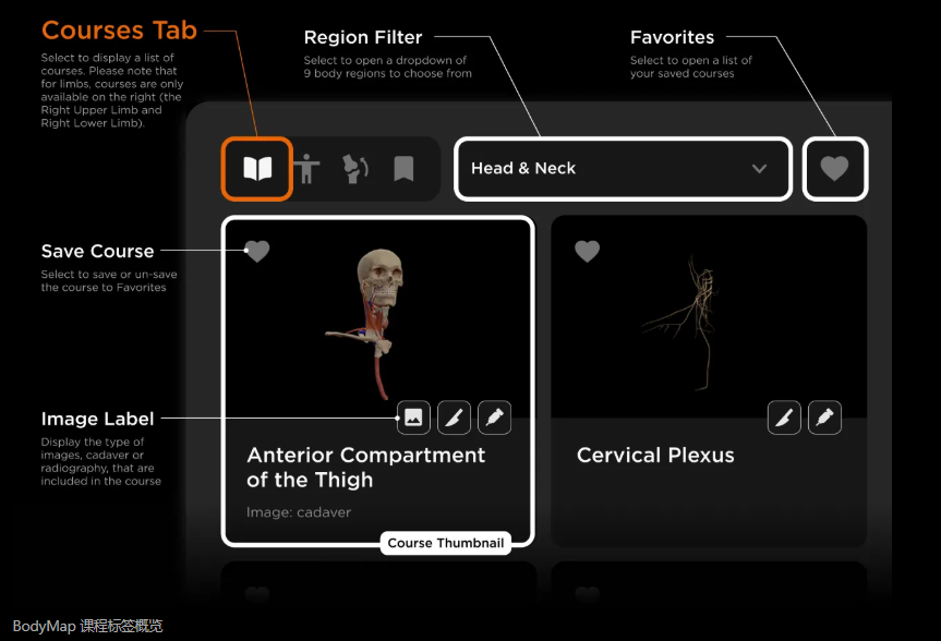BodyMap通过新课程及更多内容丰富您的VR人体解剖学之旅-CSDN博客