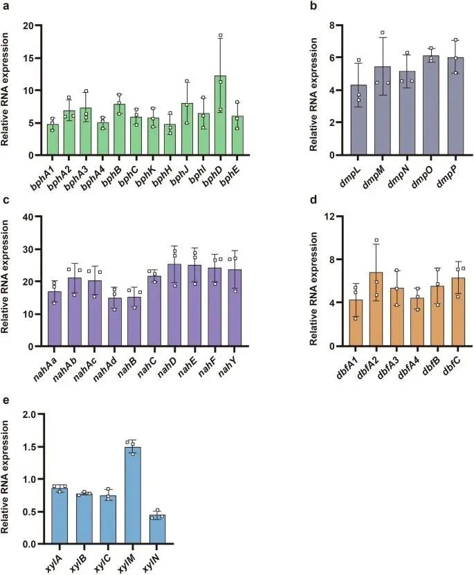 Nature级配色有多绝？看完这篇配色圣经，你的图表也能封神！ _nature配色-CSDN博客