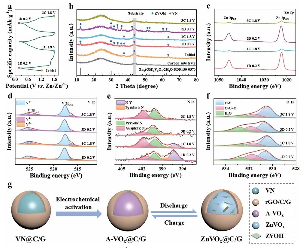 2000 次，91%！南工大/兰大，联合发表AFM！-CSDN博客