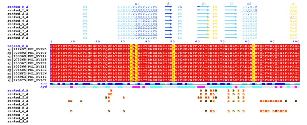 Alphafold生成的众多模型中，我该选择哪个？_foldscript-CSDN博客