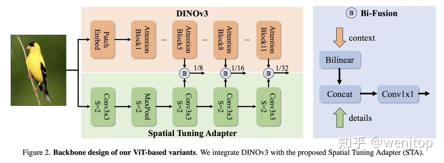 一篇文章讲清楚DETR系类 ｜ DETR｜DINO｜RT-DETR｜D-FINE ｜ DEIM ｜ DEIM V2｜目标检测 ｜实时检测 ...