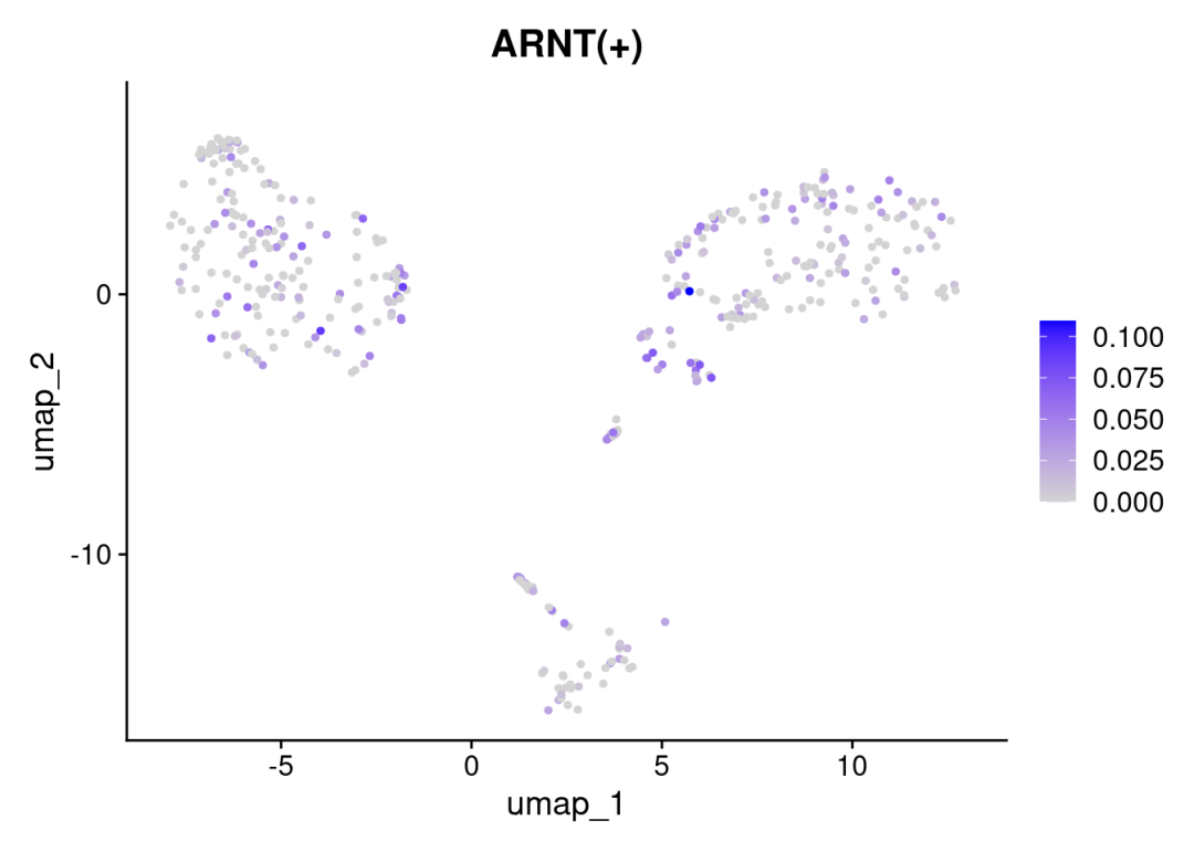 非模式物种PySCENIC分析流程_pyscenic教程-CSDN博客