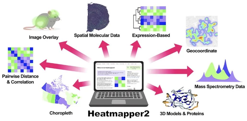 Heatmapper2让基于网络的热图绘制变得轻松简单-CSDN博客