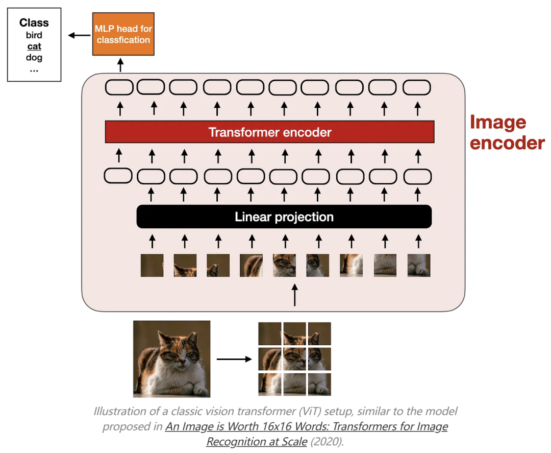 一文搞懂：从“大模型LLM”过渡并入门“多模态大模型MLLM”，建议收藏！！_modality connector-CSDN博客