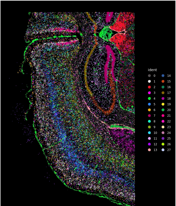 必看！Seurat赋能 Xenium空间转录组学分析全攻略-CSDN博客