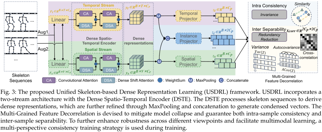 TPAMI 2025 | 骨架动作理解大一统：东南大学等提出USDRL，一个面向密集表征学习的基础模型-CSDN博客