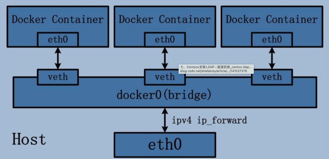 Docker NetWork bridge网络-CSDN博客